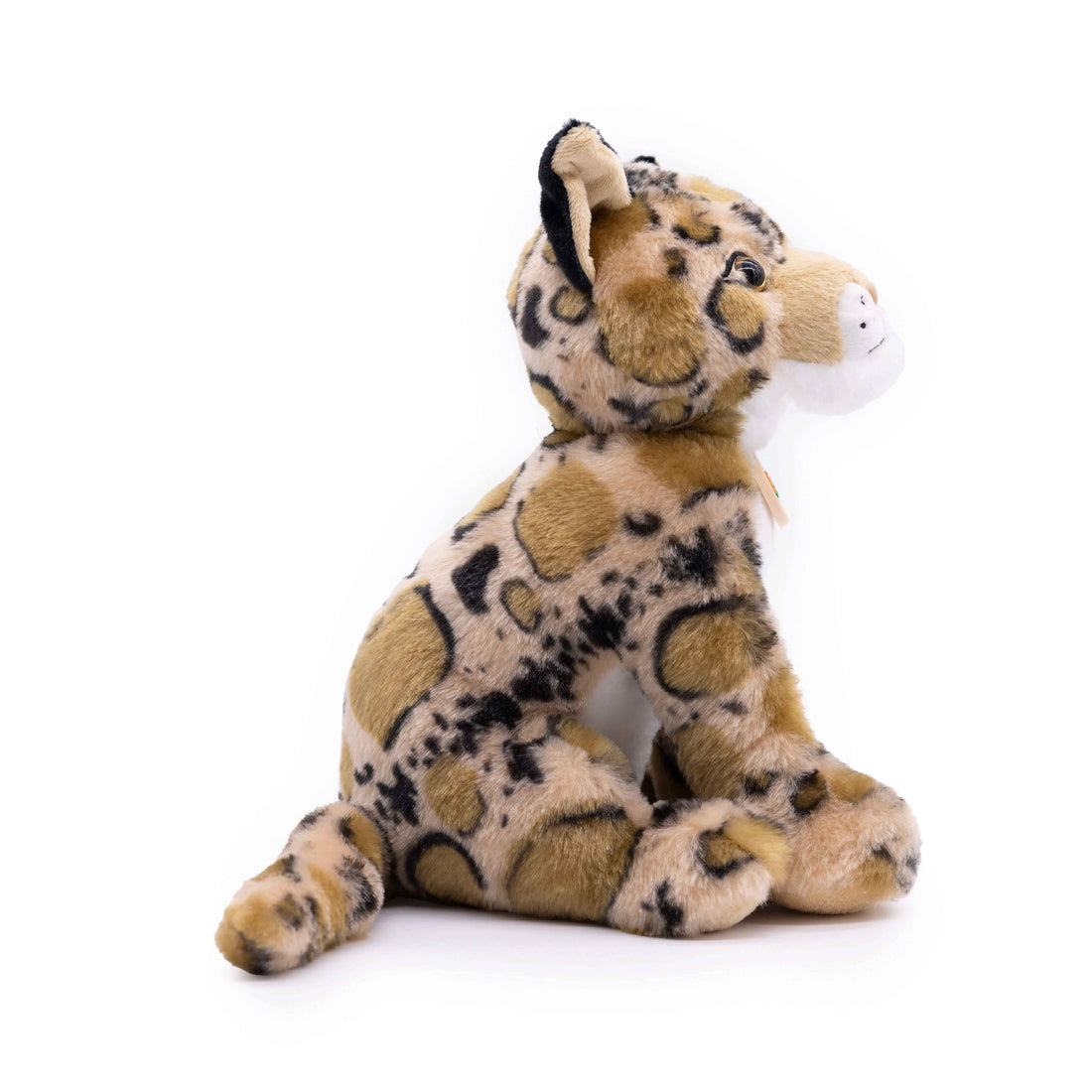 Clouded Leopard Wild Onez 12in – Fort Worth Zoo