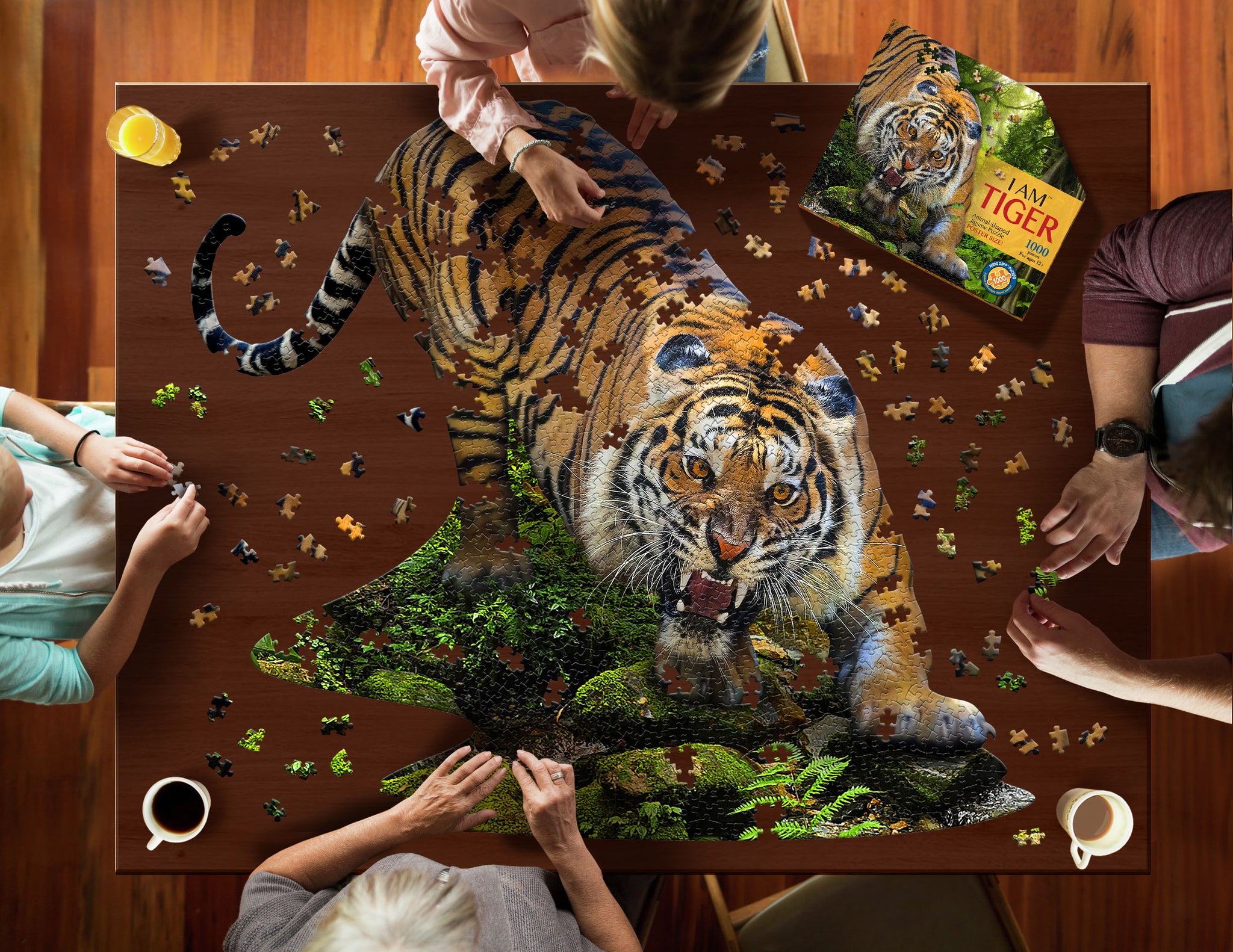 I Am Tiger 1000pc Puzzle – Fort Worth Zoo